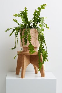 Cork Plant Stand – In Bloom horticulture
