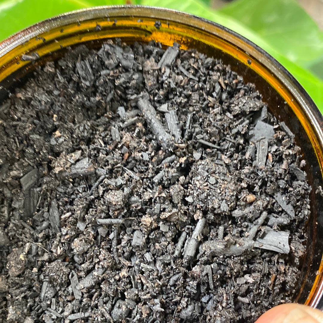 Plant Runner Soil + Microbe Booster 500ml – In Bloom horticulture